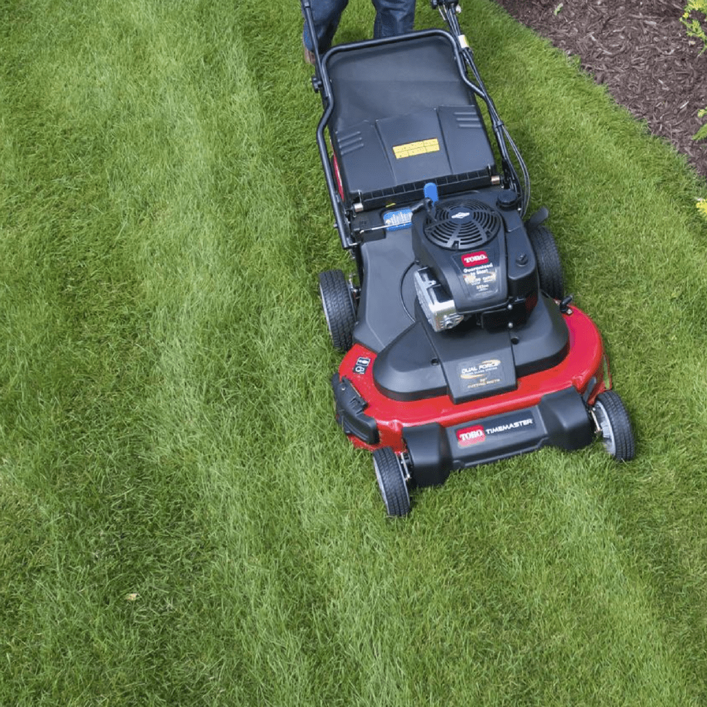 Toro TimeMaster® 76cm | Gas Self Propelled Lawn Mower - Parkland - Lawn ...